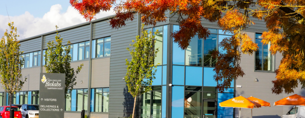 New England Biolabs® Expands Lyophilization Capabilities with Opening ...