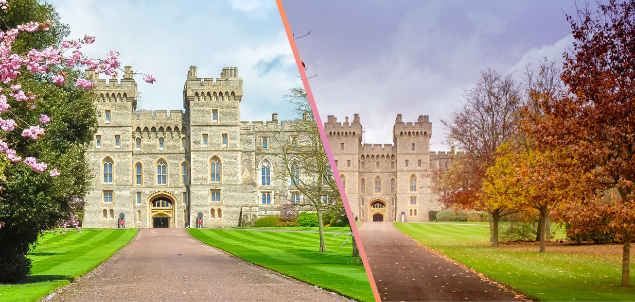 WD Image (1) | Thames Valley Chamber of Commerce